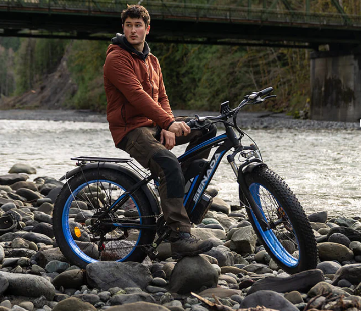 Navigating the Electric Bike Landscape: A Comprehensive Guide to Class ...