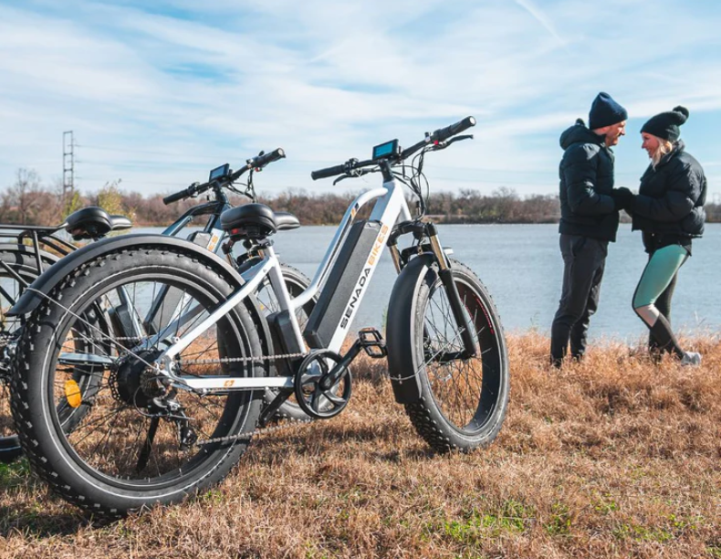 E-Bike for Life